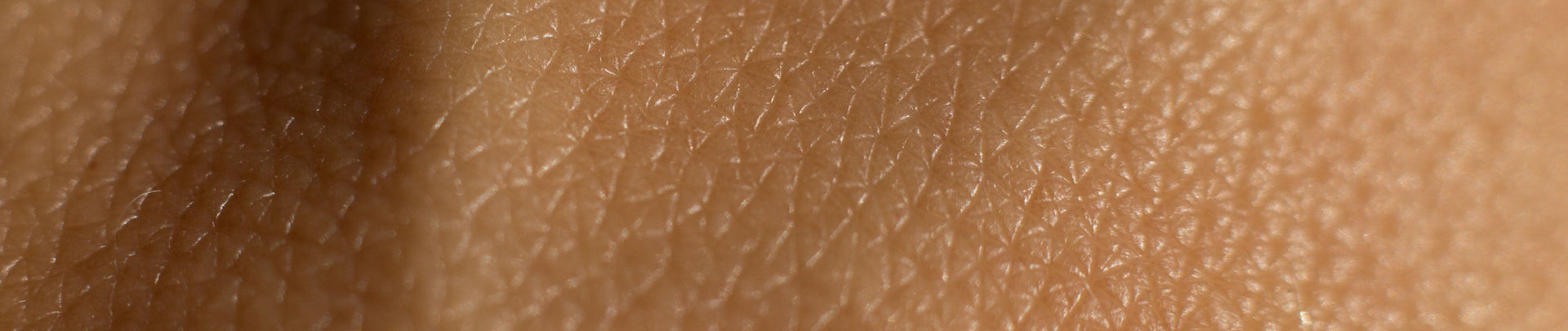 The Ultimate Guide to AHAs: What Are They & How Do They Work? – Skin Script